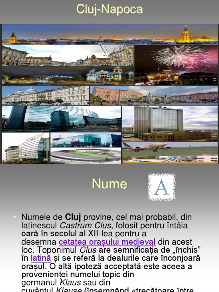 Cluj Napoca | PDF