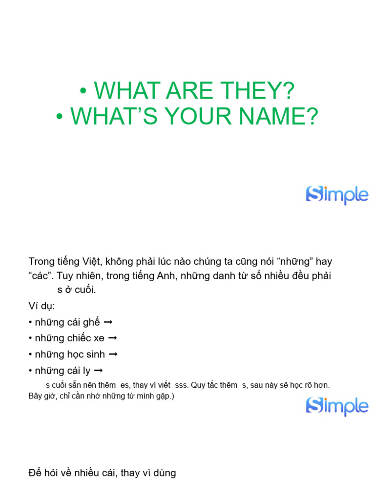 Starter Story 3 - What are they, What's your name | PDF