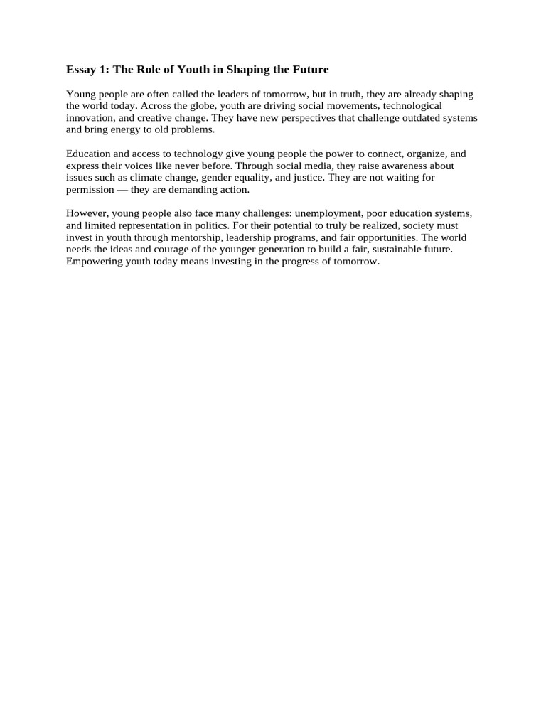 Essay 1 | PDF