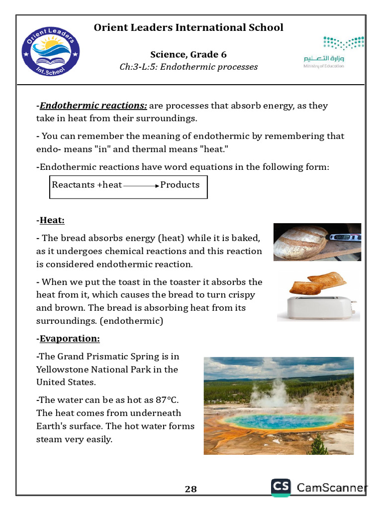 L5.Endothermic Processes | PDF | Evaporation | Water