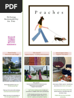 Chavacano Language and Zamboanga Culture | PDF | Clothing