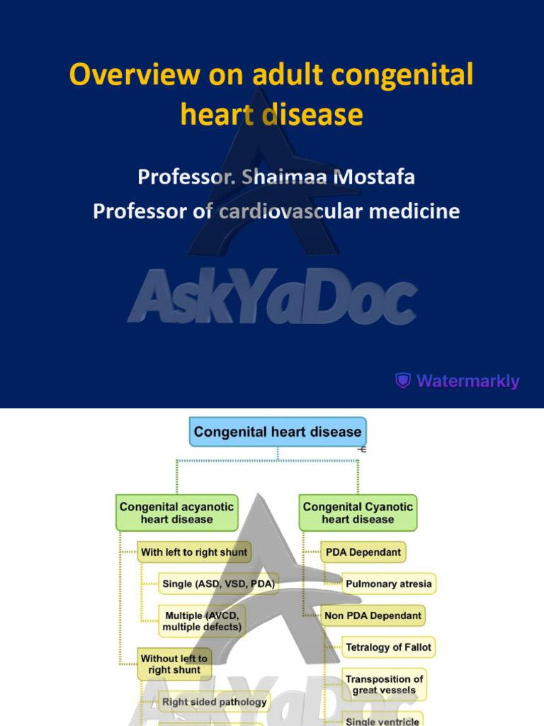 Congential Heart 1 | PDF
