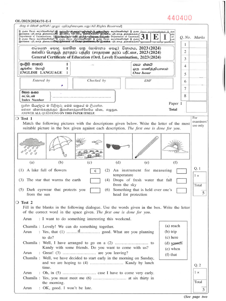 English OL and AL Past Papers Guide | PDF
