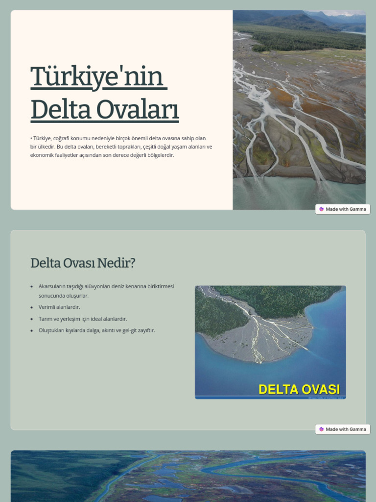 Turkiyenin Delta Ovalari | PDF