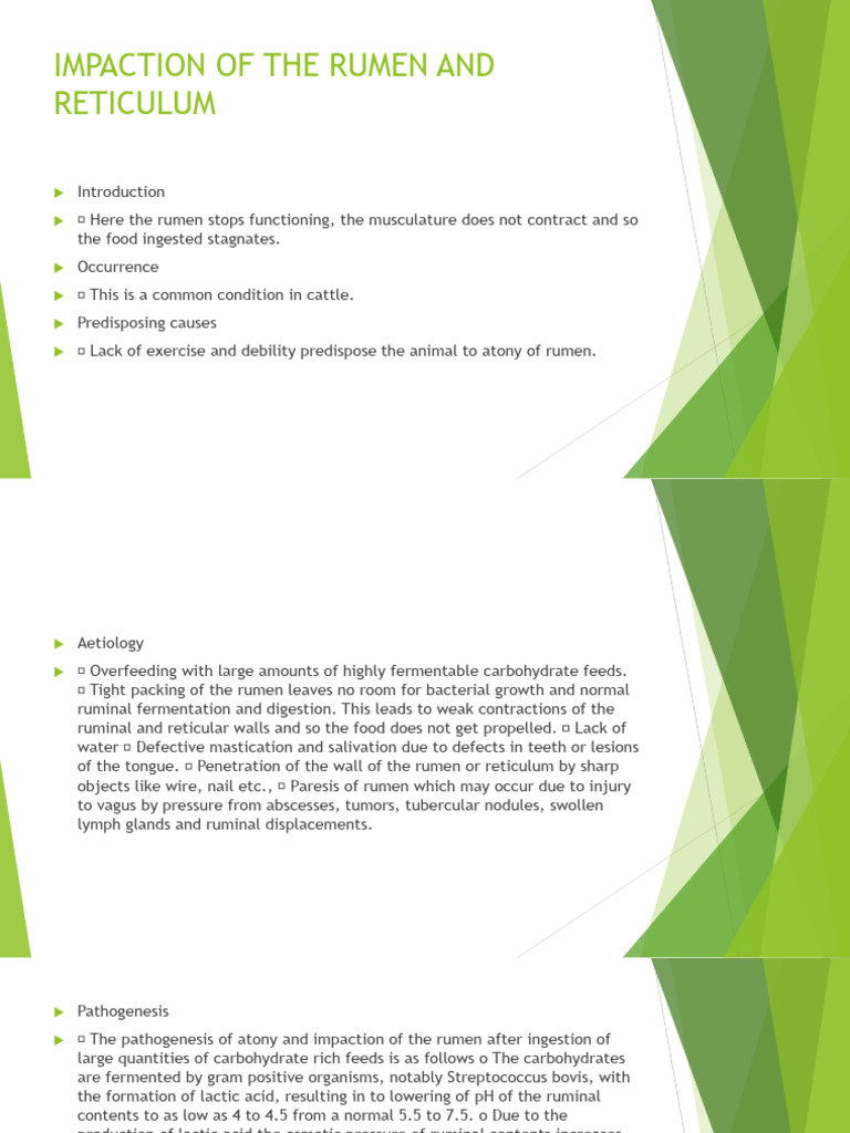 Rumen Atony and Gastritis in Cattle | PDF | Gastrointestinal Tract ...