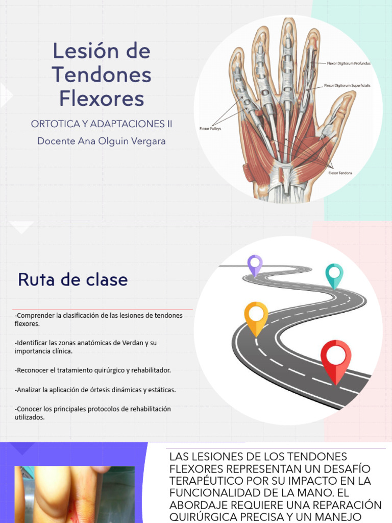 Rehabilitación de Lesiones en Tendones Flexores | PDF | Tendón ...