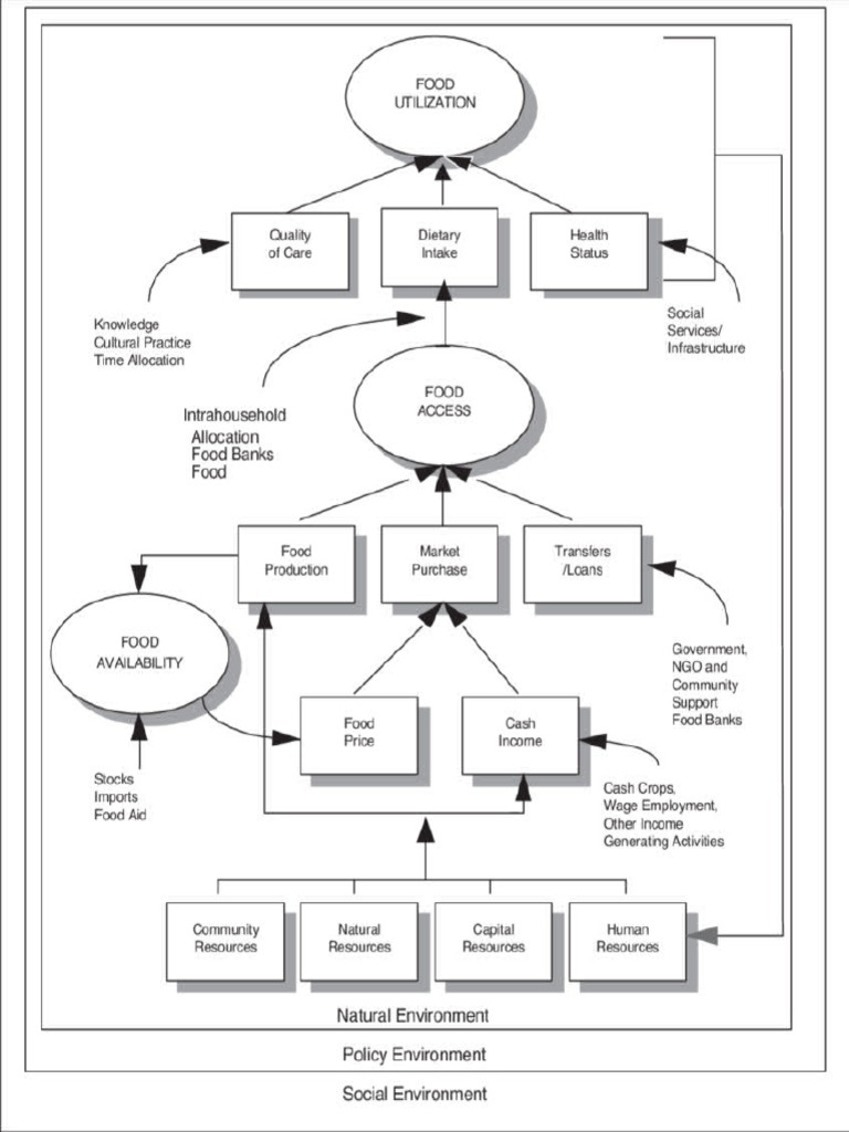 Food Security Conceptual Framework Used by USAID Source Riely Et Al ...