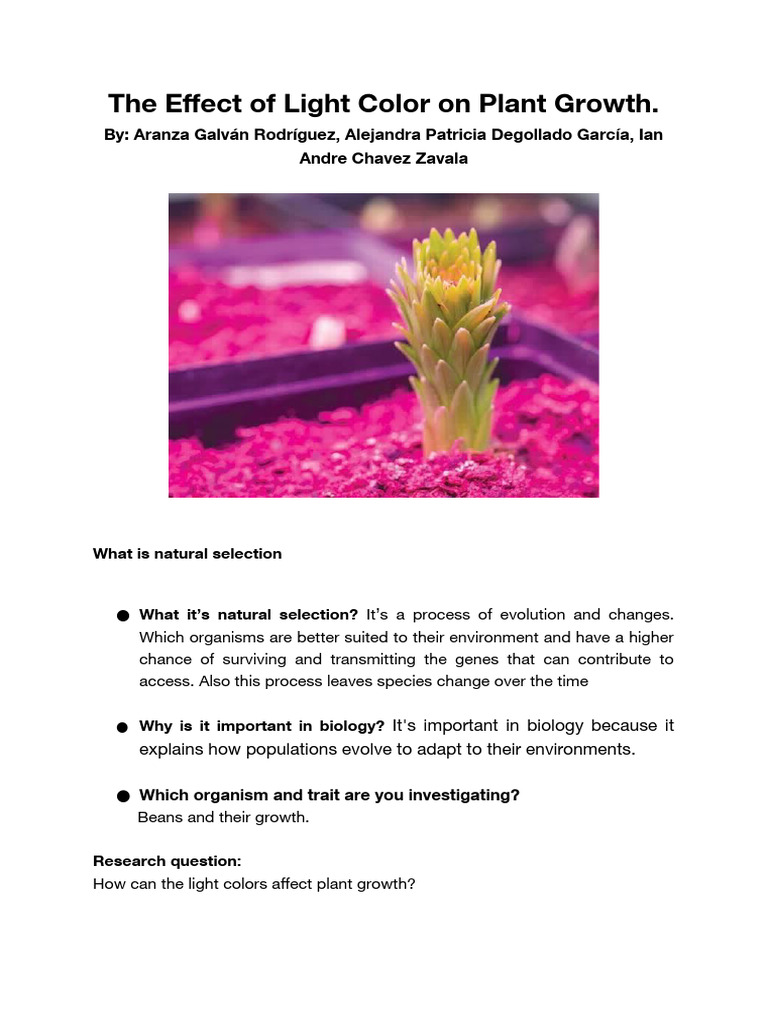 The Effect of Light Color On Plant Growth - Summative Activity | PDF ...