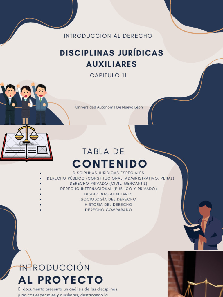 Disciplinas Jurídicas: Público y Privado | PDF | Derecho penal | Ley ...