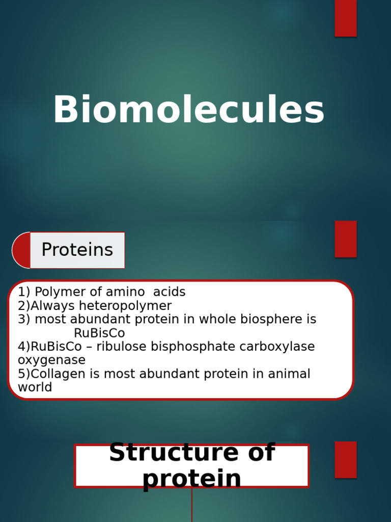 Biomolecules Protein | PDF