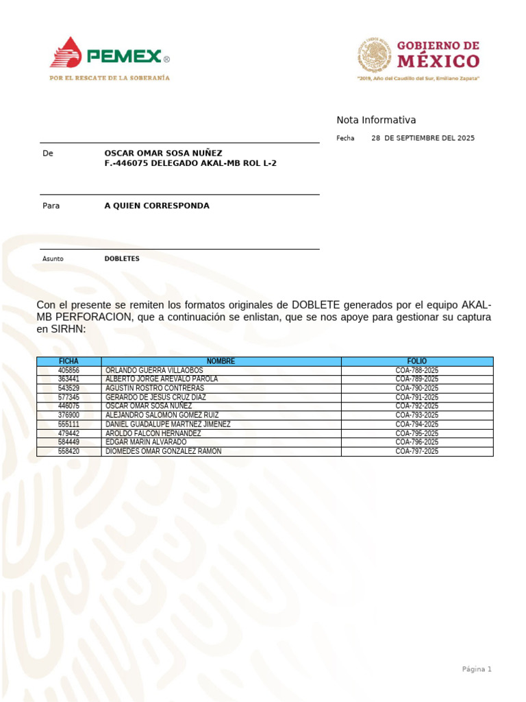 Formatos de Dobletes para Captura SIRHN | PDF