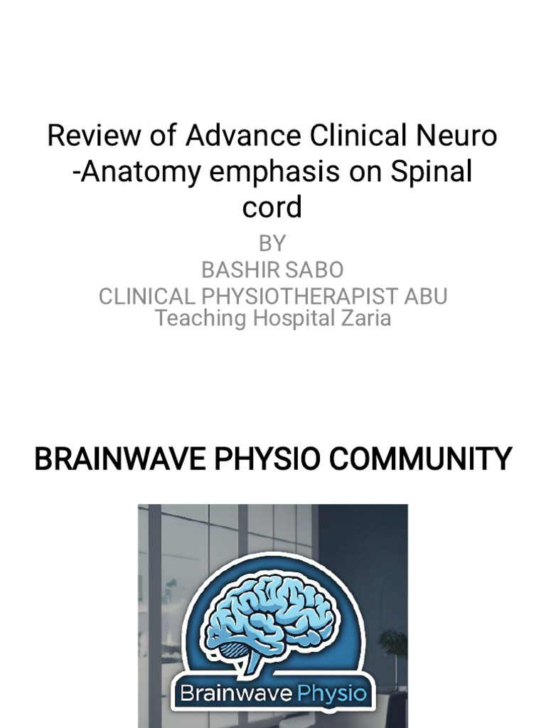 Spinal Cord Neuro Anatomy Review | PDF | Spinal Cord | Neuroanatomy