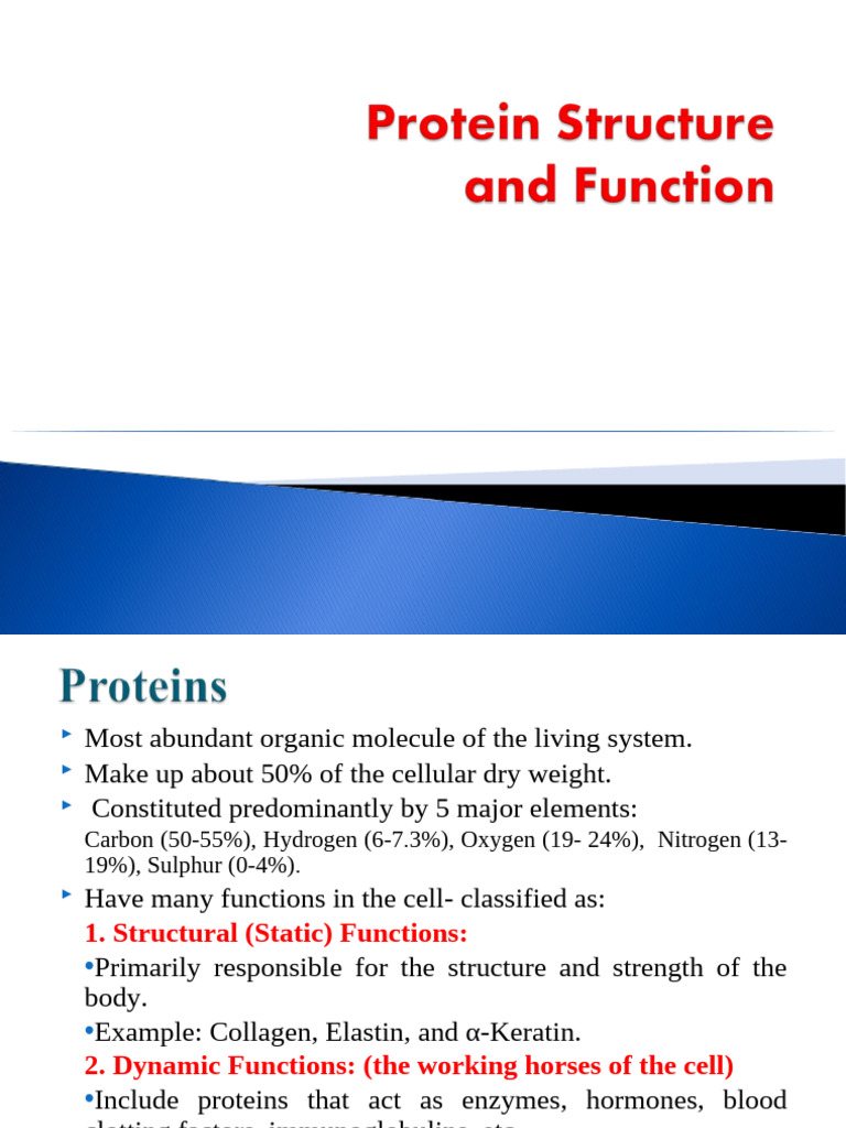 Overview of Amino Acids and Proteins | PDF | Protein Structure | Proteins