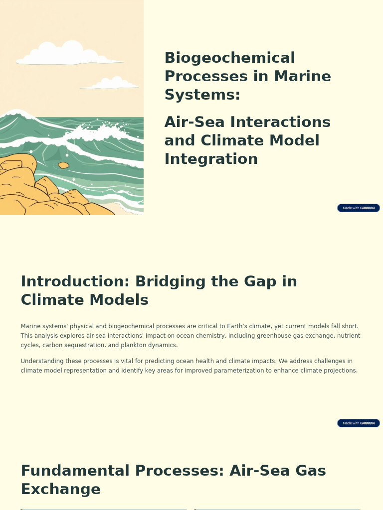 Biogeochemical Processes in Marine Systems | PDF | Oceans | Phytoplankton