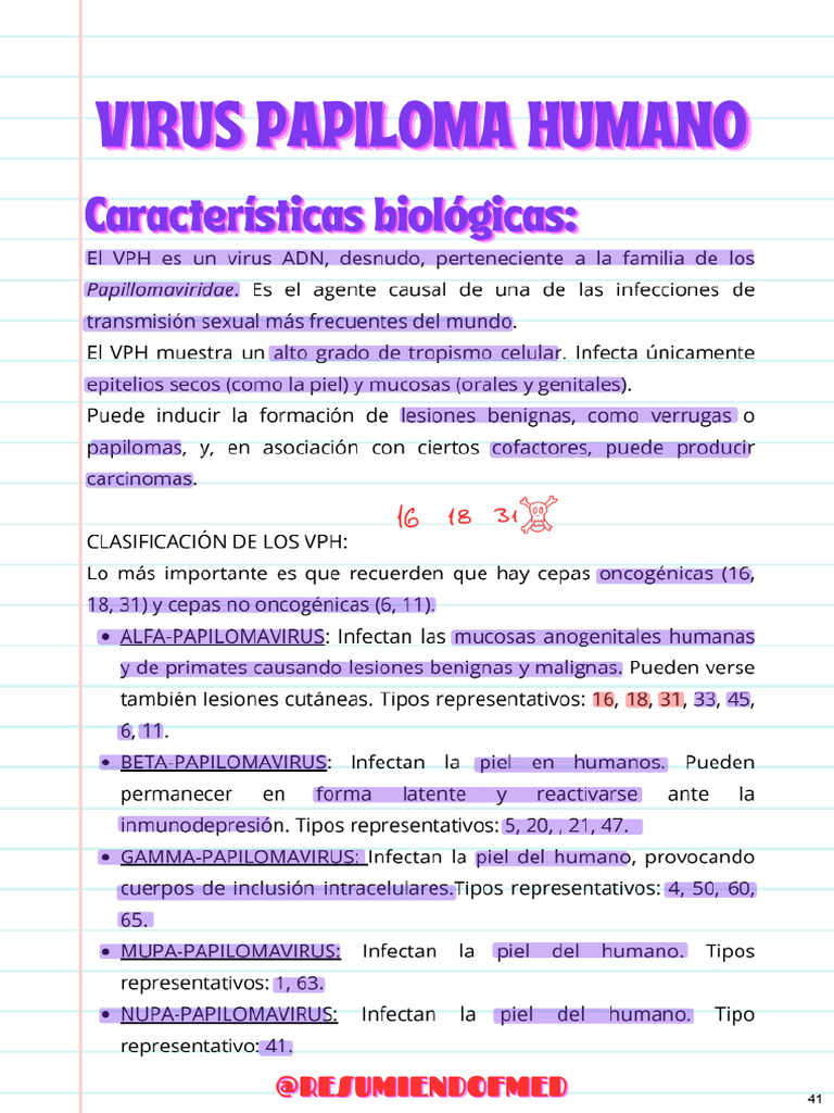 Teoricos Segundo Parcial 250607 003656 | PDF