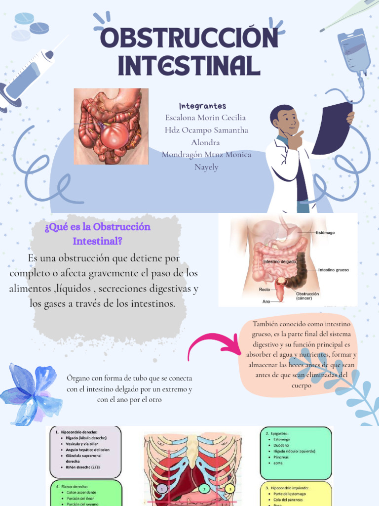 Obstrucción Intestinal | PDF | Intestino grueso | Tracto gastrointestinal