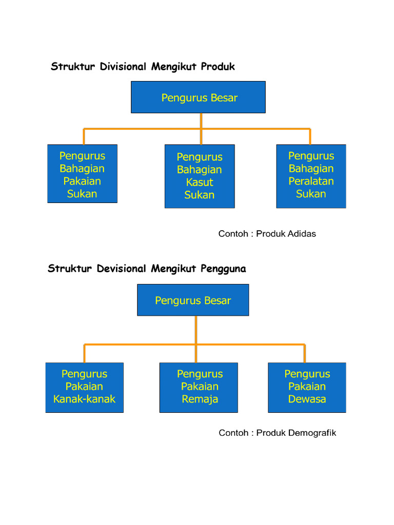 Struktur Divisional Mengikut Produk | PDF