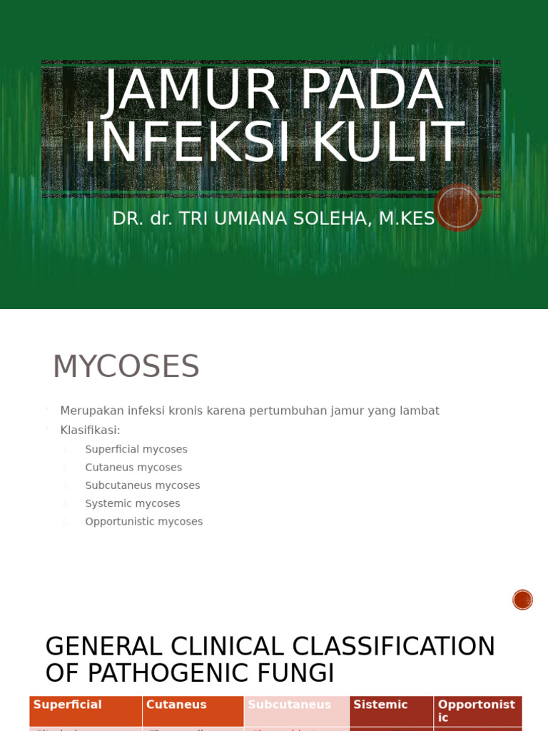 Jamur dan Infeksi Kulit: Klasifikasi dan Epidemiologi | PDF ...