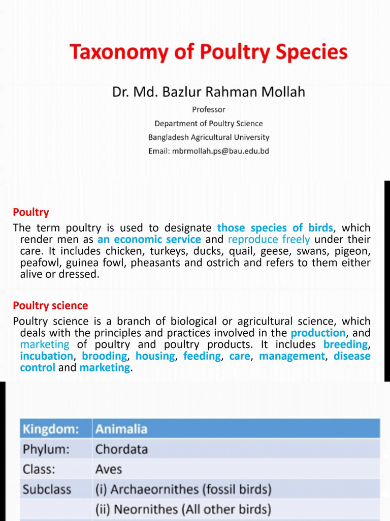 Taxonomy of Poultry Species | PDF