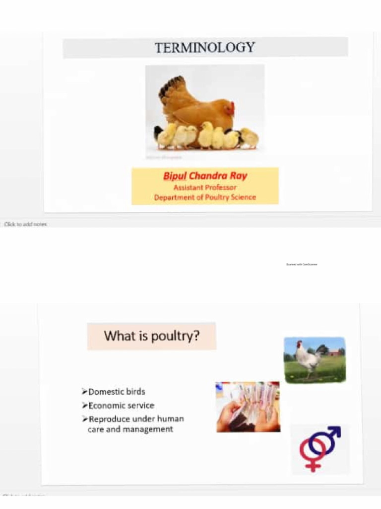 Poultry Science Class | PDF