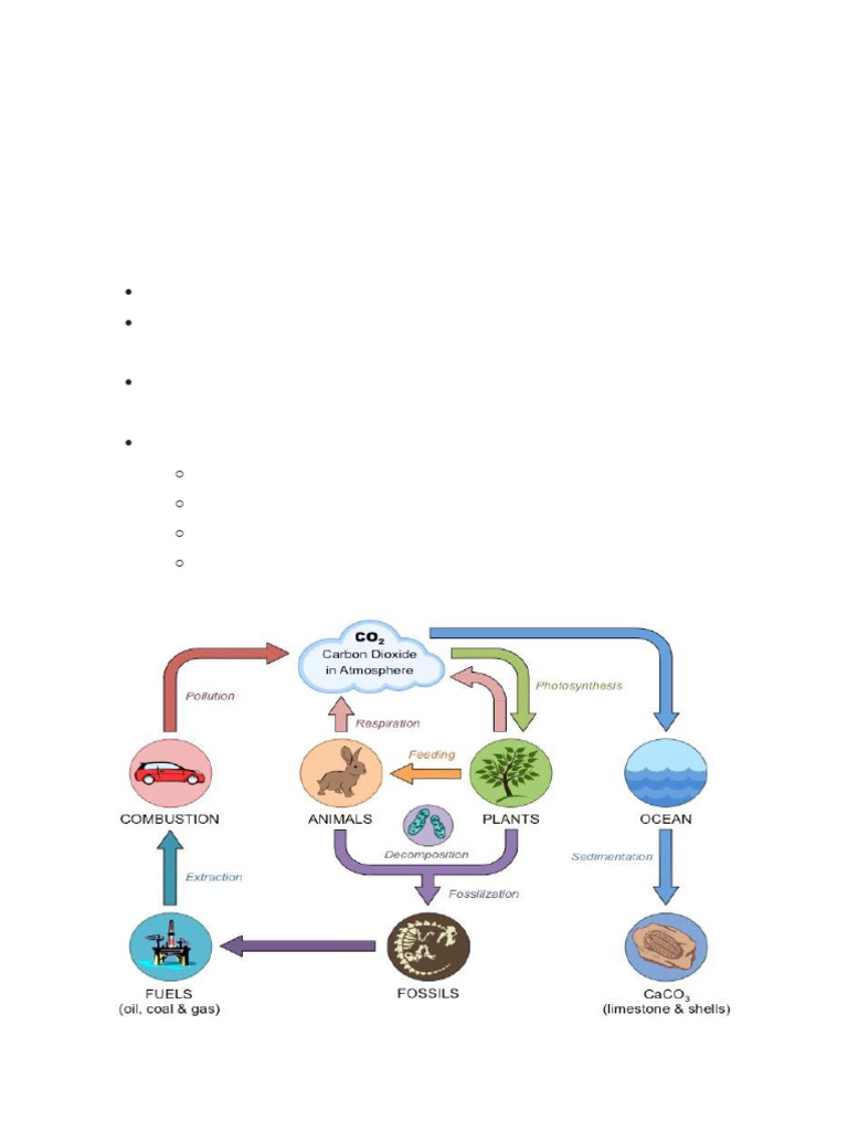 NOTE 7 - Nutrient Cycling | PDF