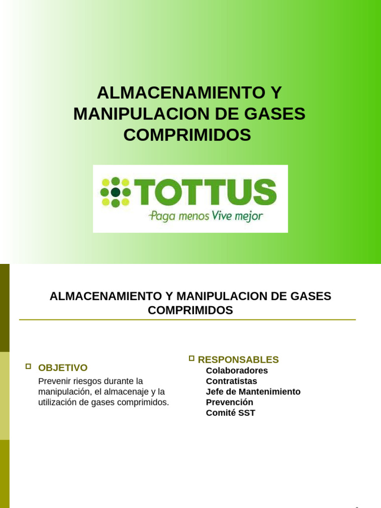 7.almac. y Manipul - de Gases Comprimidos | PDF | Gases