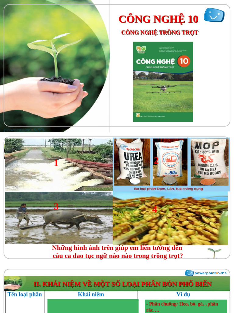 Bai 7 Gioi Thieu Ve Phan Bon | PDF