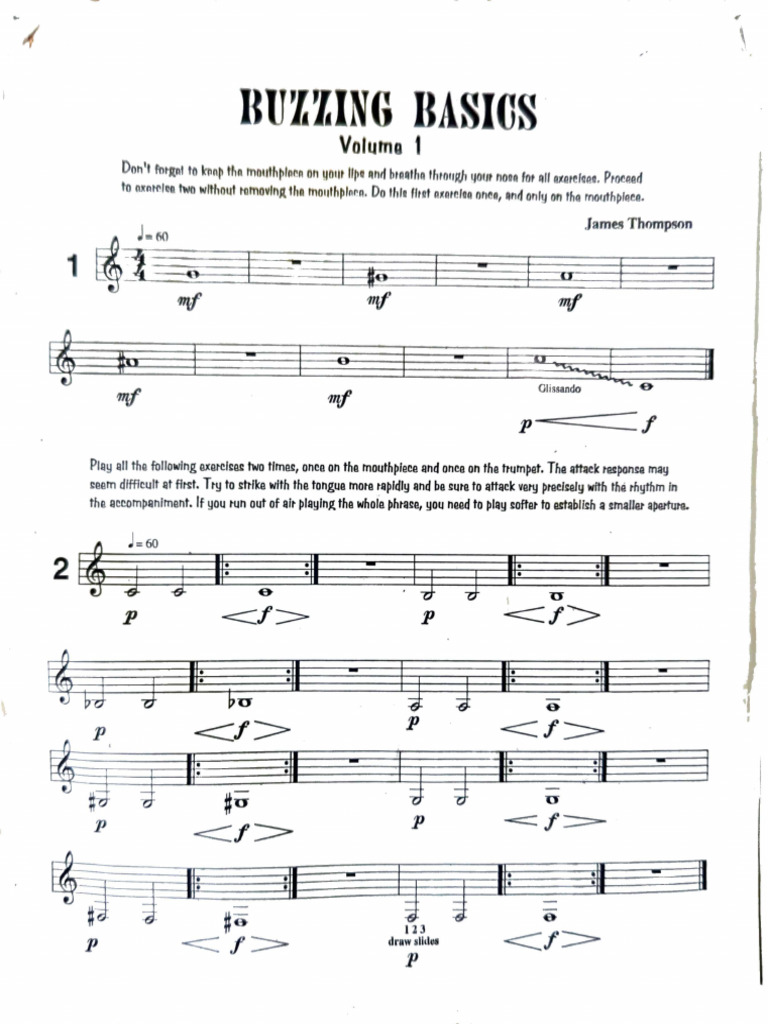 Buzzing Basics | PDF