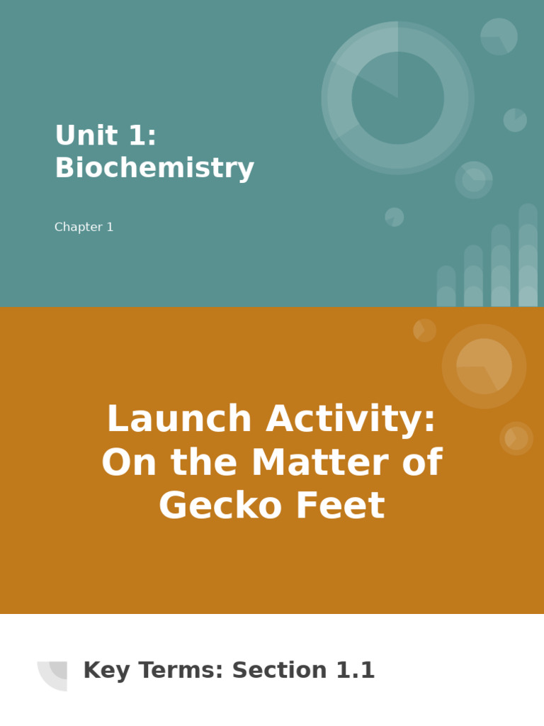 Biochemistry: Molecules and Reactions | PDF | Lipid | Nucleotides
