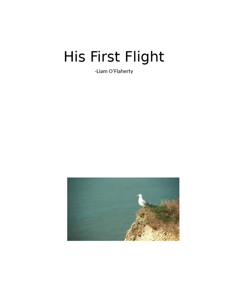 His First Flight | PDF