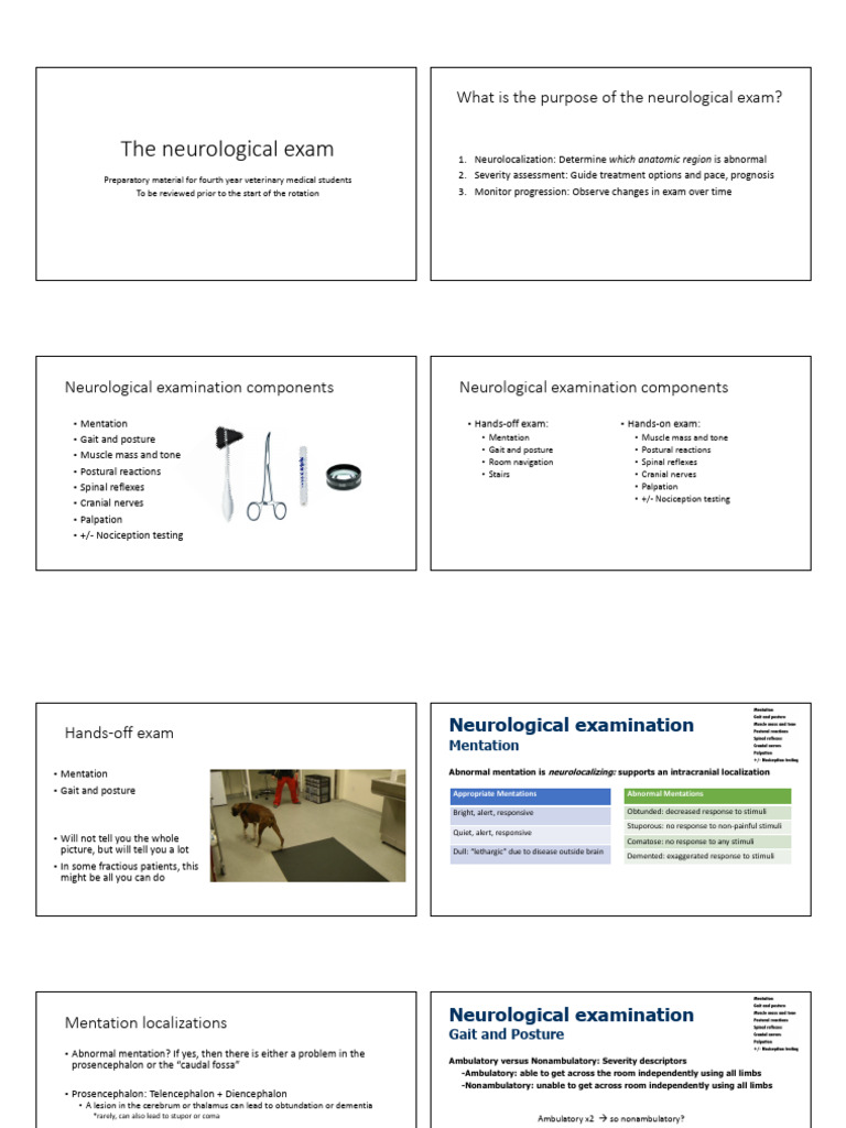 Neurological Exam Guide for Vet Students | PDF | Spinal Cord | Motor Neuron