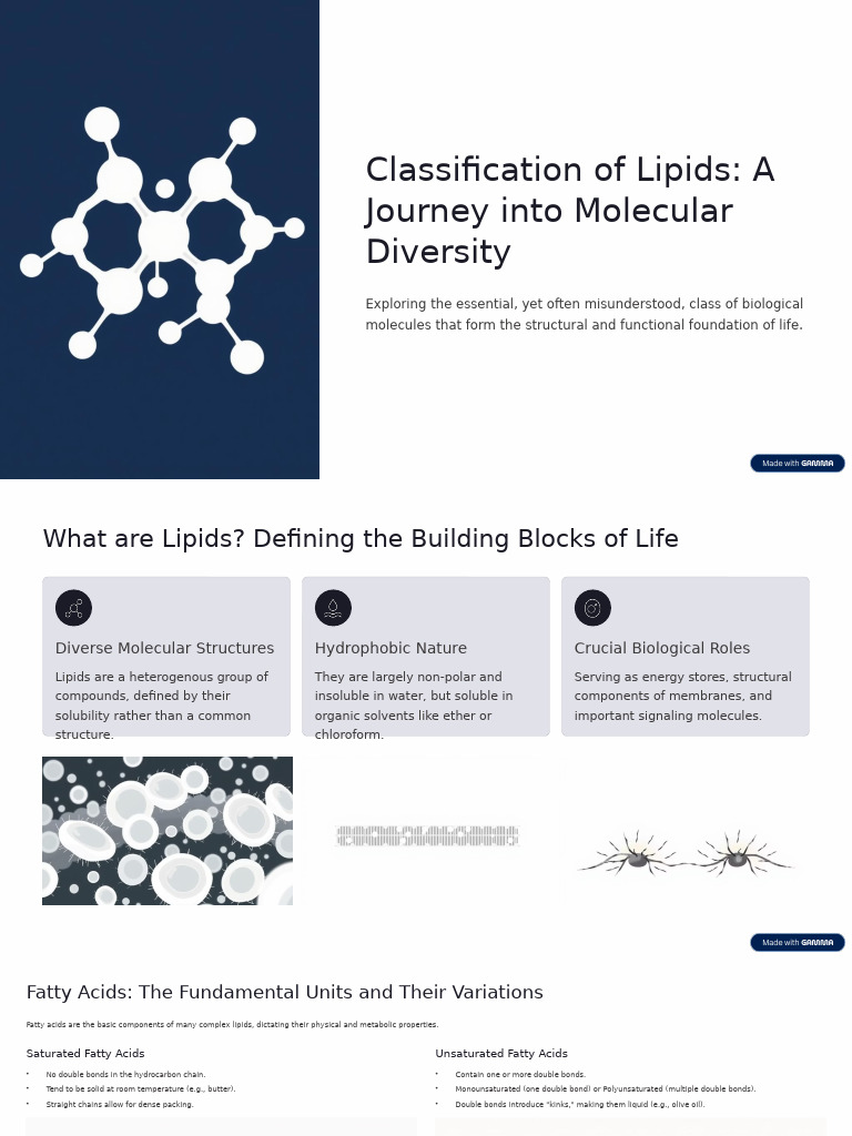 Classification of Lipids A Journey Into Molecular Diversity | PDF ...
