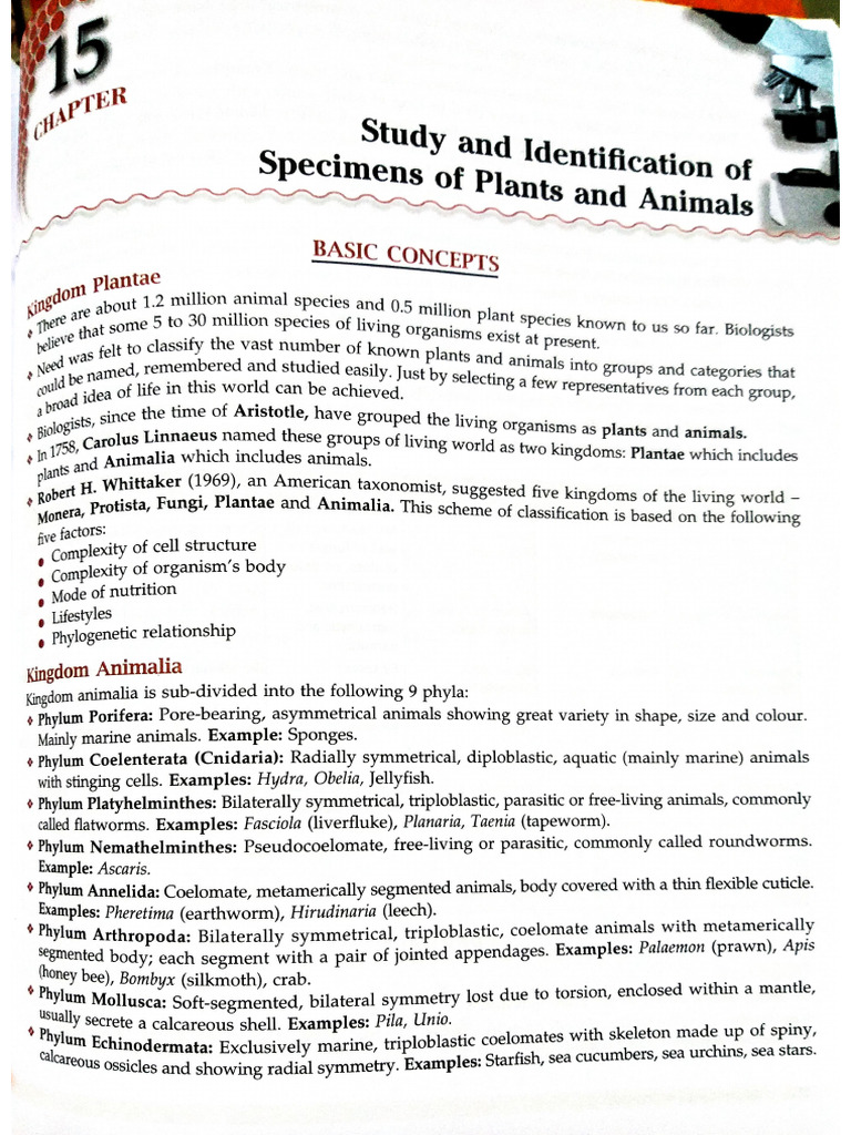 Class 11 Biology Practical Identifications | PDF