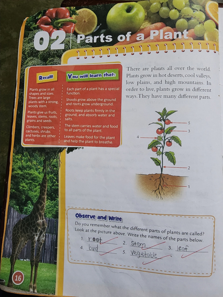 Science - Lesson 2 | PDF