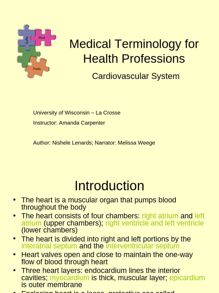 Medical Terminology Cardiovascular System | PDF | Heart | Circulatory ...