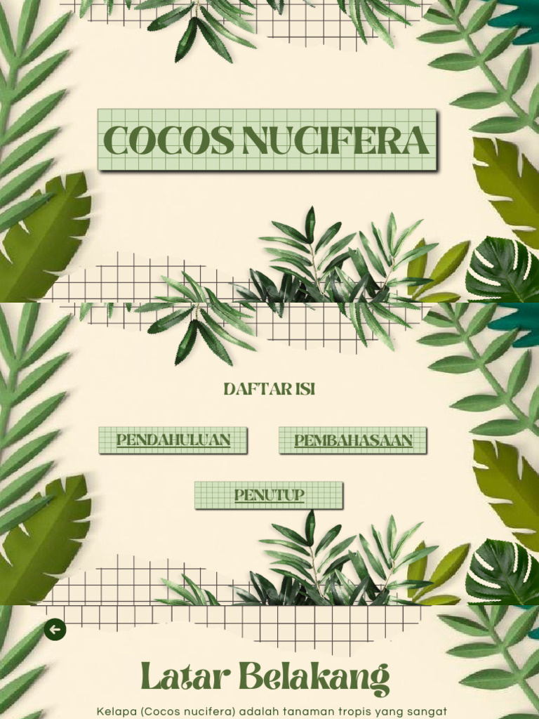 Cocos nucifera_20251011_155122_0000 | PDF