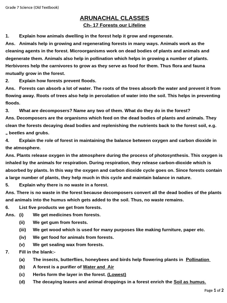 Role of Forests in Ecosystem Balance | PDF | Soil | Plants