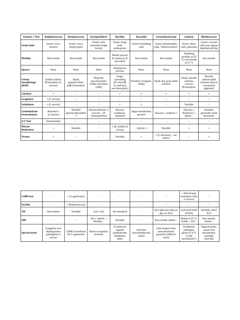 All Bacteria Comparison Tables | PDF | Organisms | Prokaryote