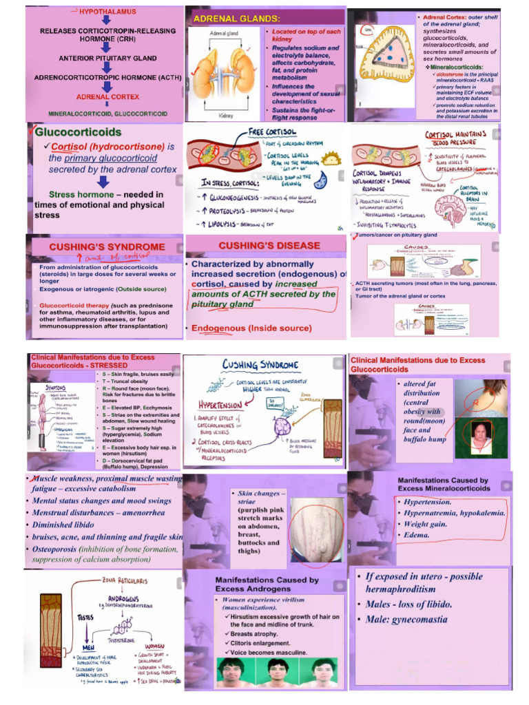 Cushing | PDF