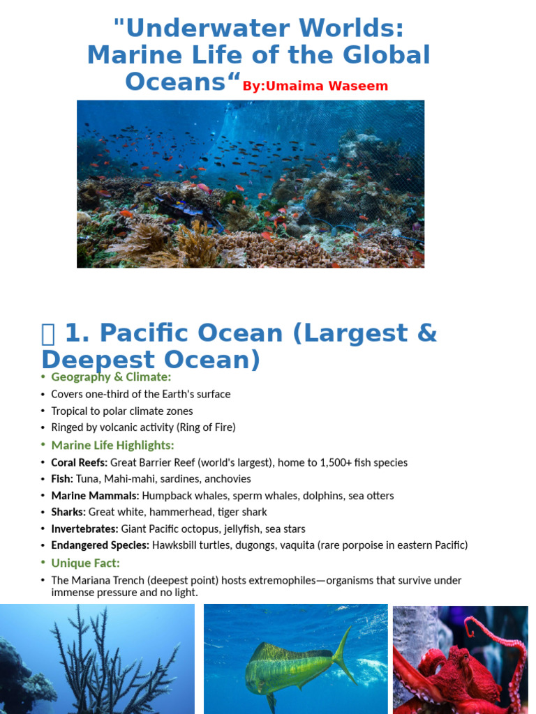 Marine Life Across the Oceans | PDF | Marine Mammals | Marine Biology
