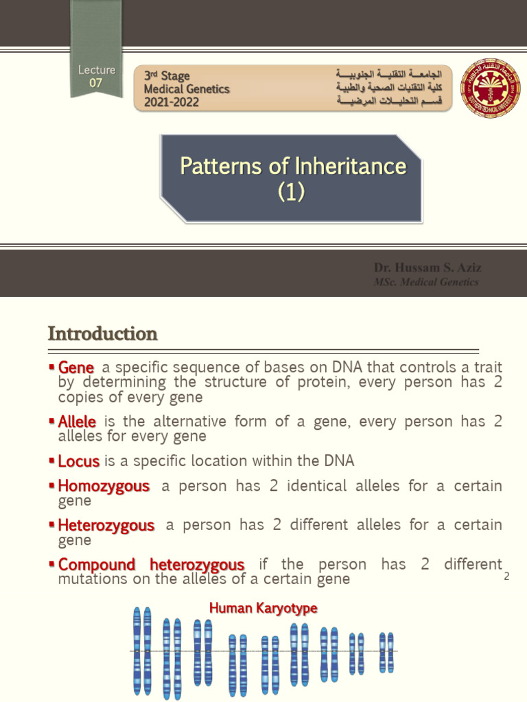 Patterns of Genetic Inheritance Explained | PDF | Genotype | Dominance ...