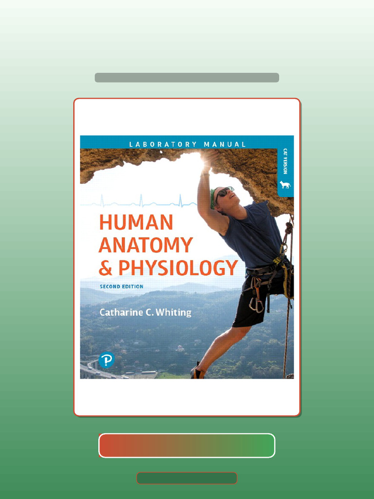 Complete Human Anatomy Physiology Laboratory Manual Making Connections ...