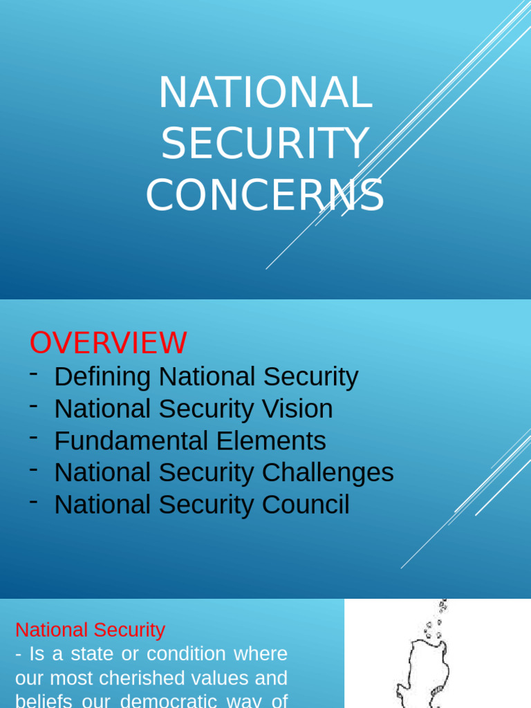 National Security Concerns | PDF | National Security | United States ...
