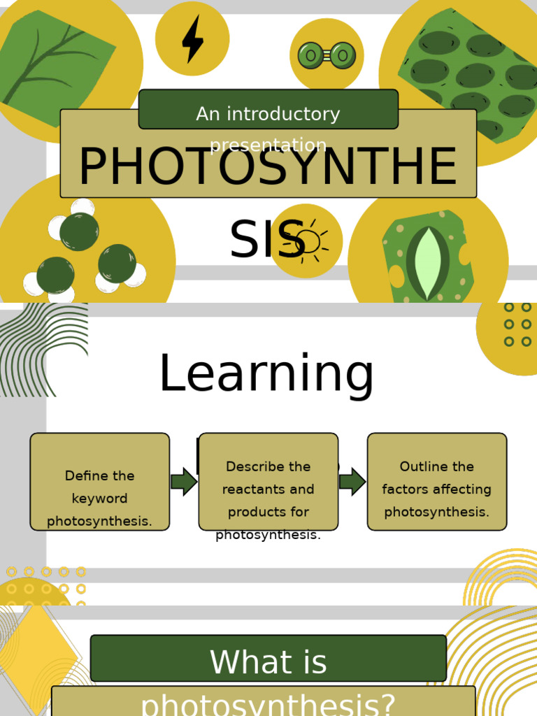 Photosynthesis Presentation | PDF | Photosynthesis | Plants