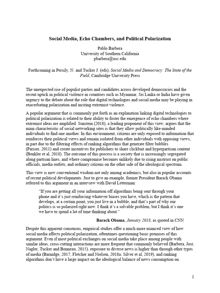 Echo Chambers | PDF | Social Media | Popular Culture & Media Studies