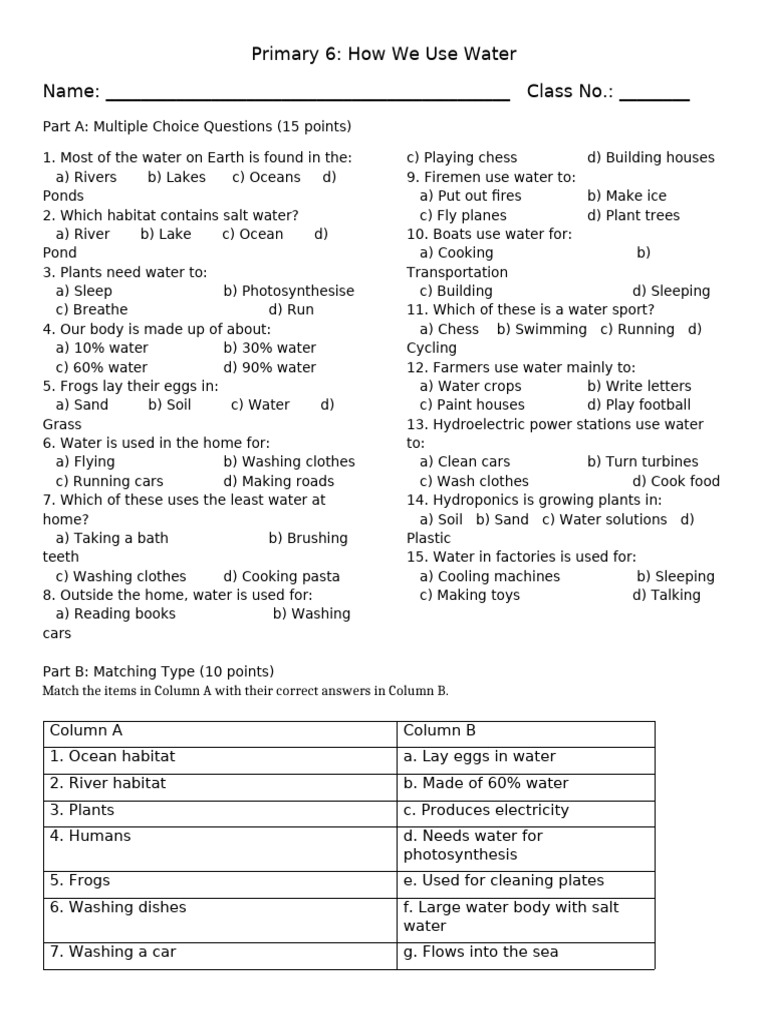 Primary6 How We Use Water Quiz | PDF | Water | River