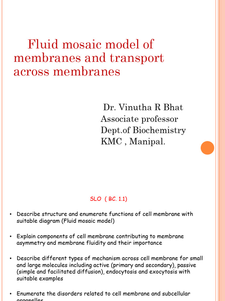 Membrane Structure and Transport Mechanisms | PDF | Cell Membrane ...