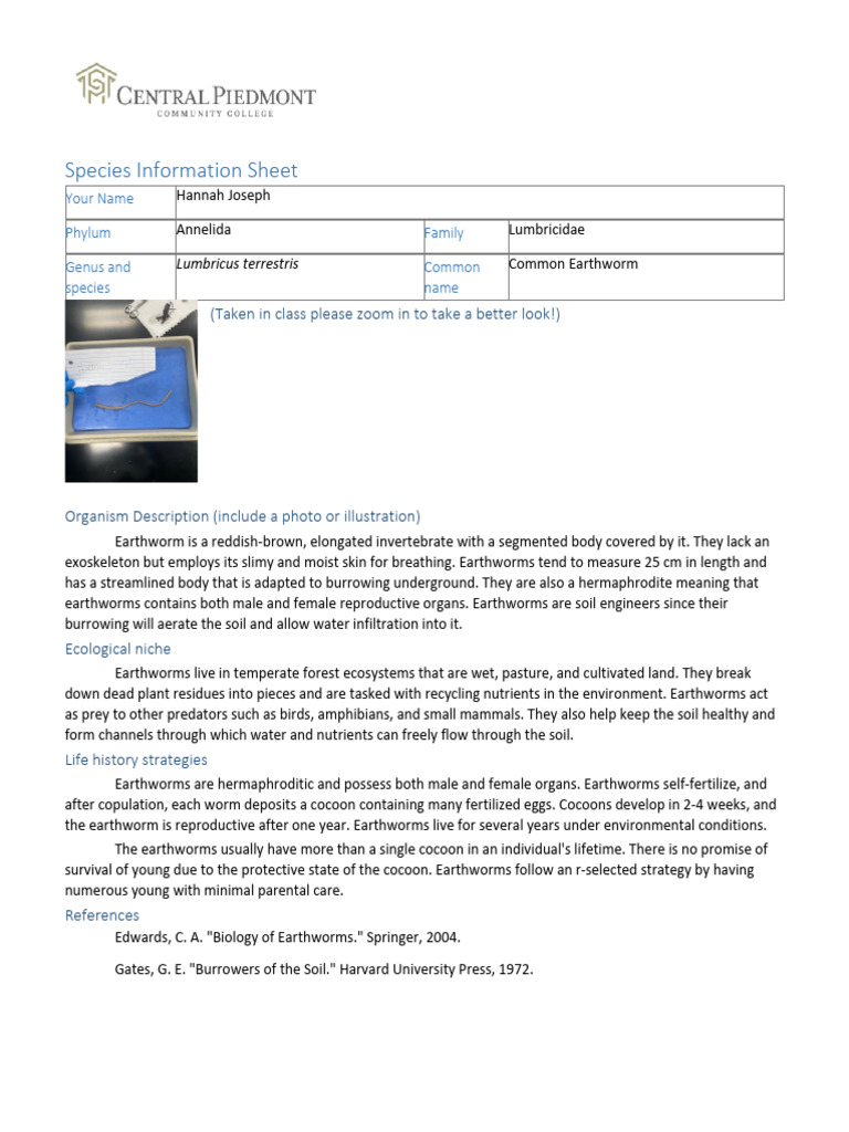Species Profiles: Earthworm, Monarch, Tiger, Crawfish | PDF | Giant ...
