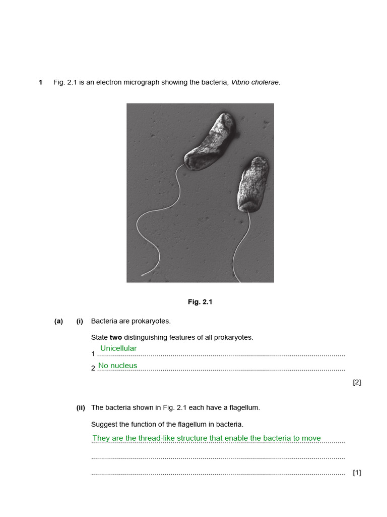 1.1-Characteristics and Classification of Living Organisms - Igcse-Cie ...