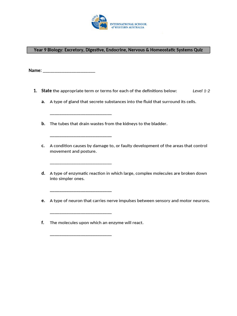 Human Body Systems Quiz Worksheet | PDF | Neuron | Nervous System